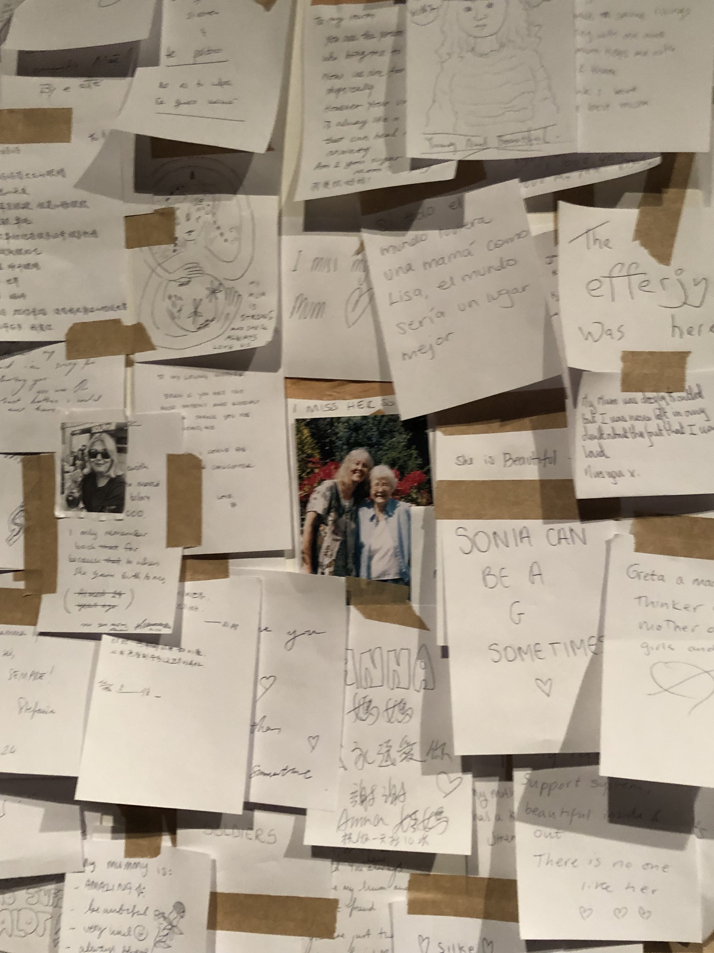 IMG_1737 | First Impressions